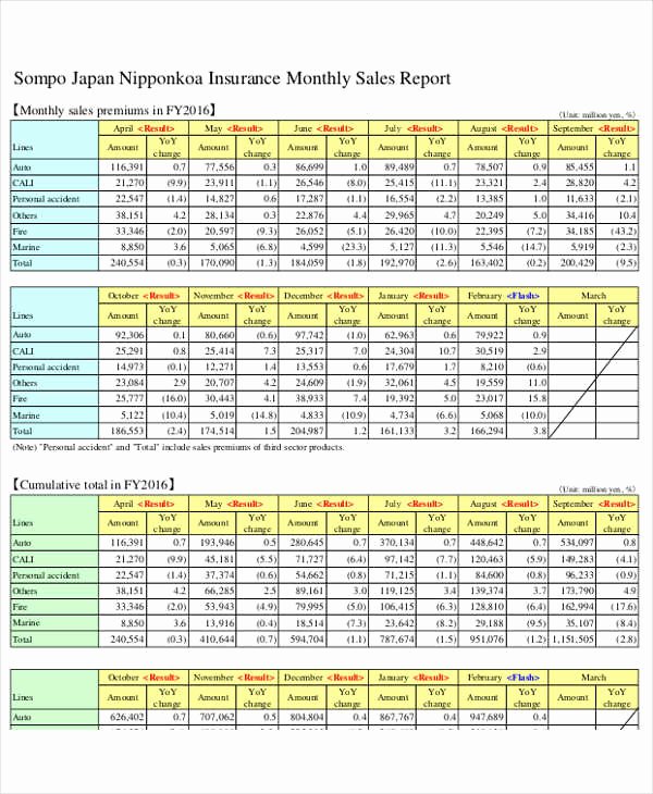 Monthly Sales Report Template