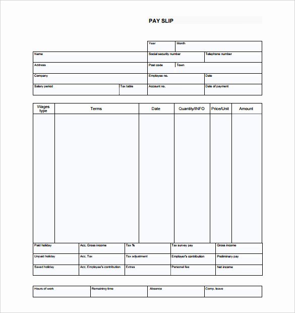 Truck Driver Pay Stub Template