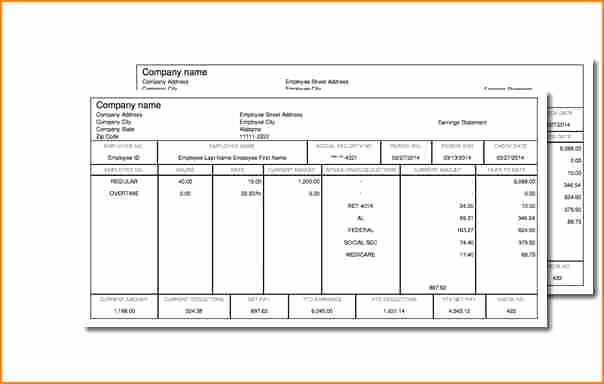 Truck Driver Pay Stub Template