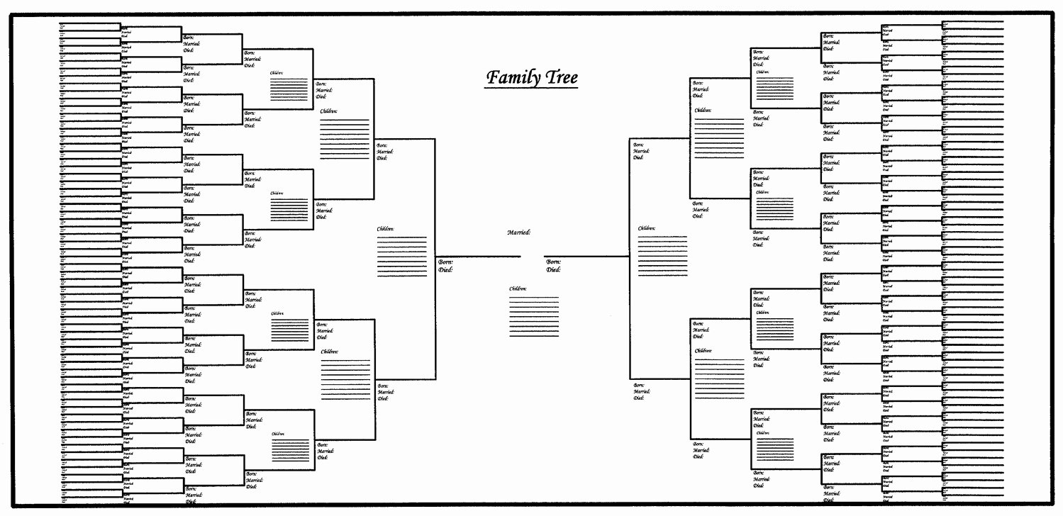 Family Tree Maker Templates