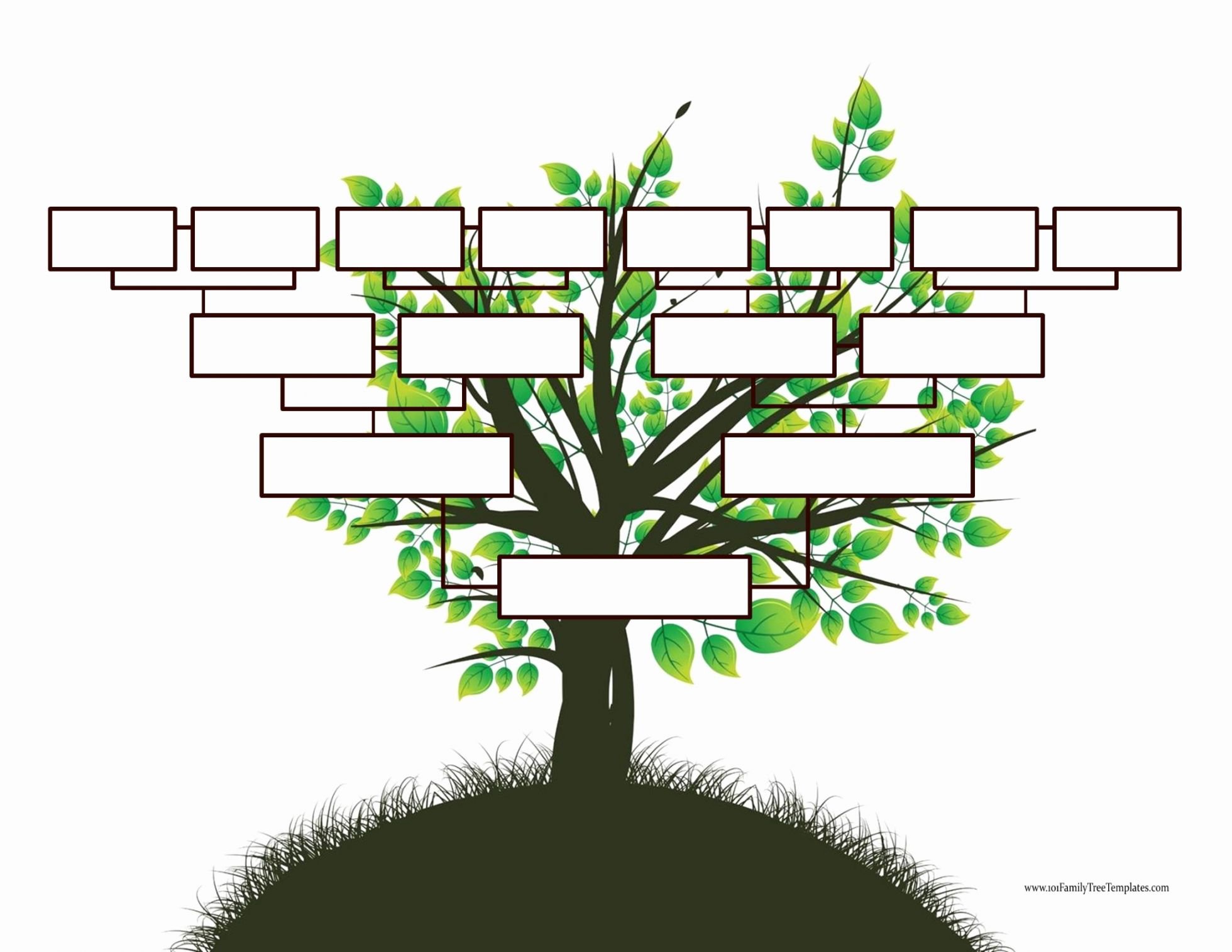 Template For A Family Tree Letter Example Template