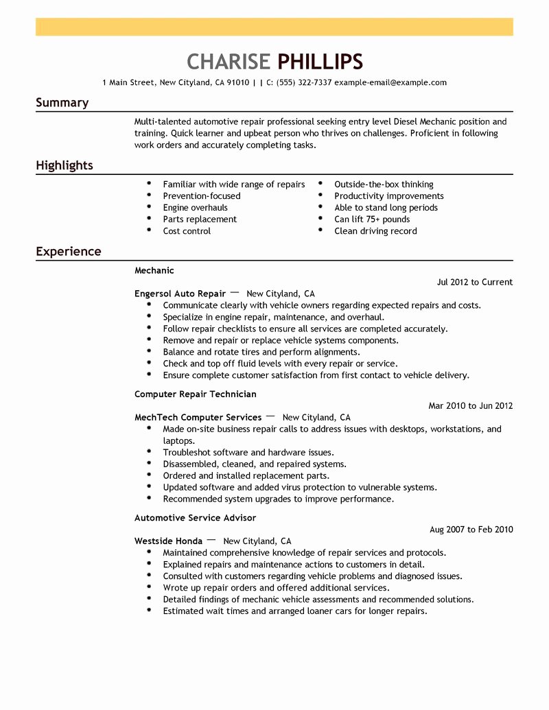 Entry Level Resume Examples Letter Example Template