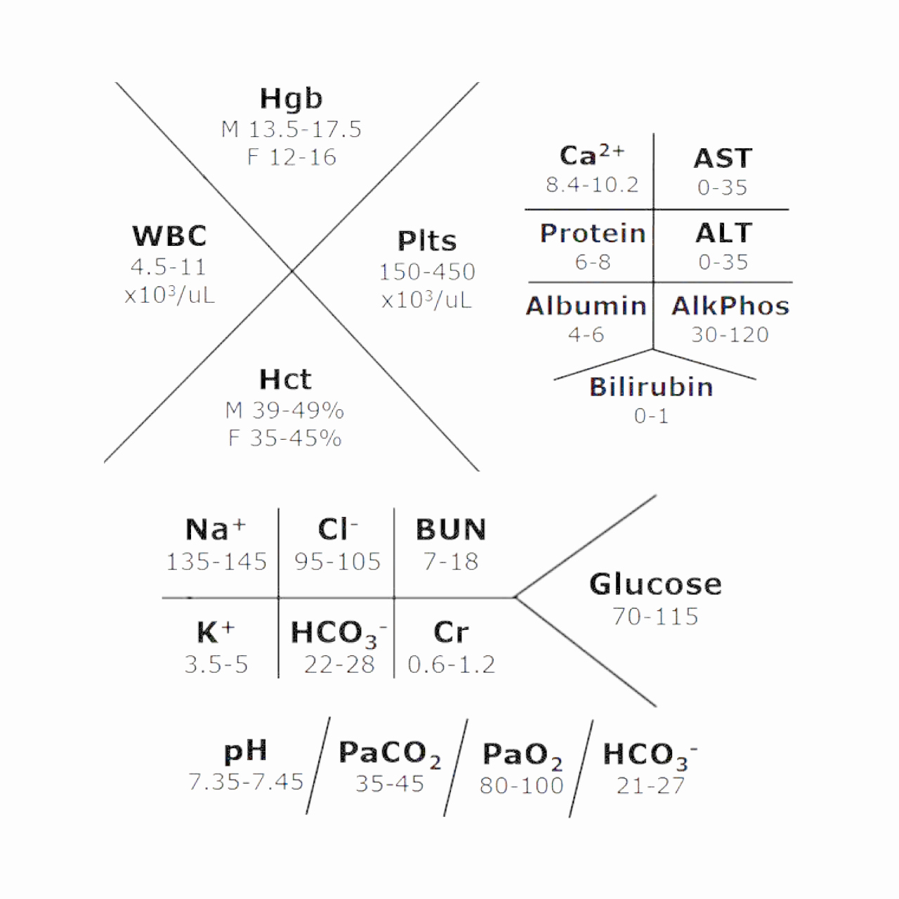 Medical Lab Results Template