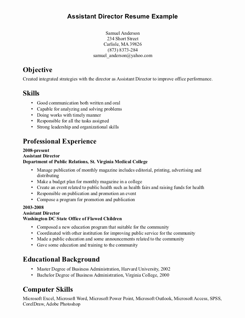 Resume Ideas For Skills Latter Example Template