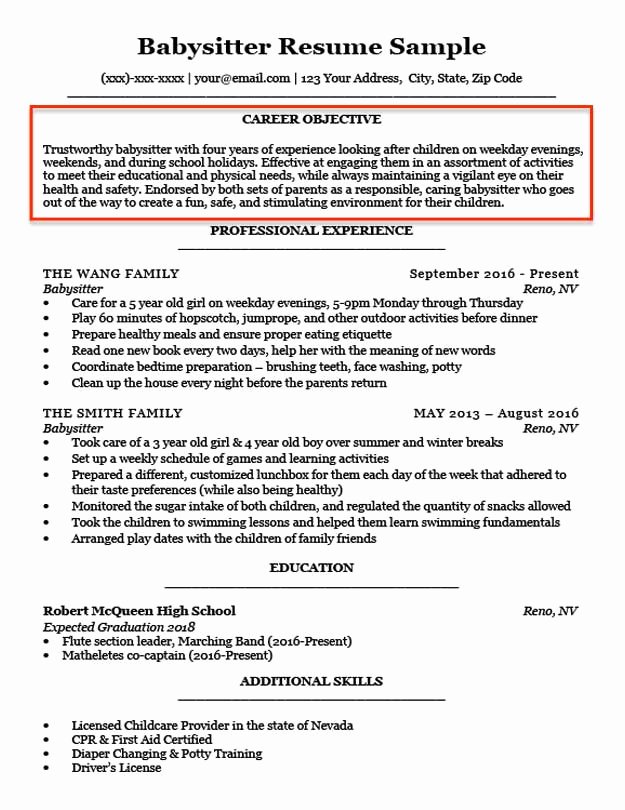 Objective On A Resume Examples Letter Example Template