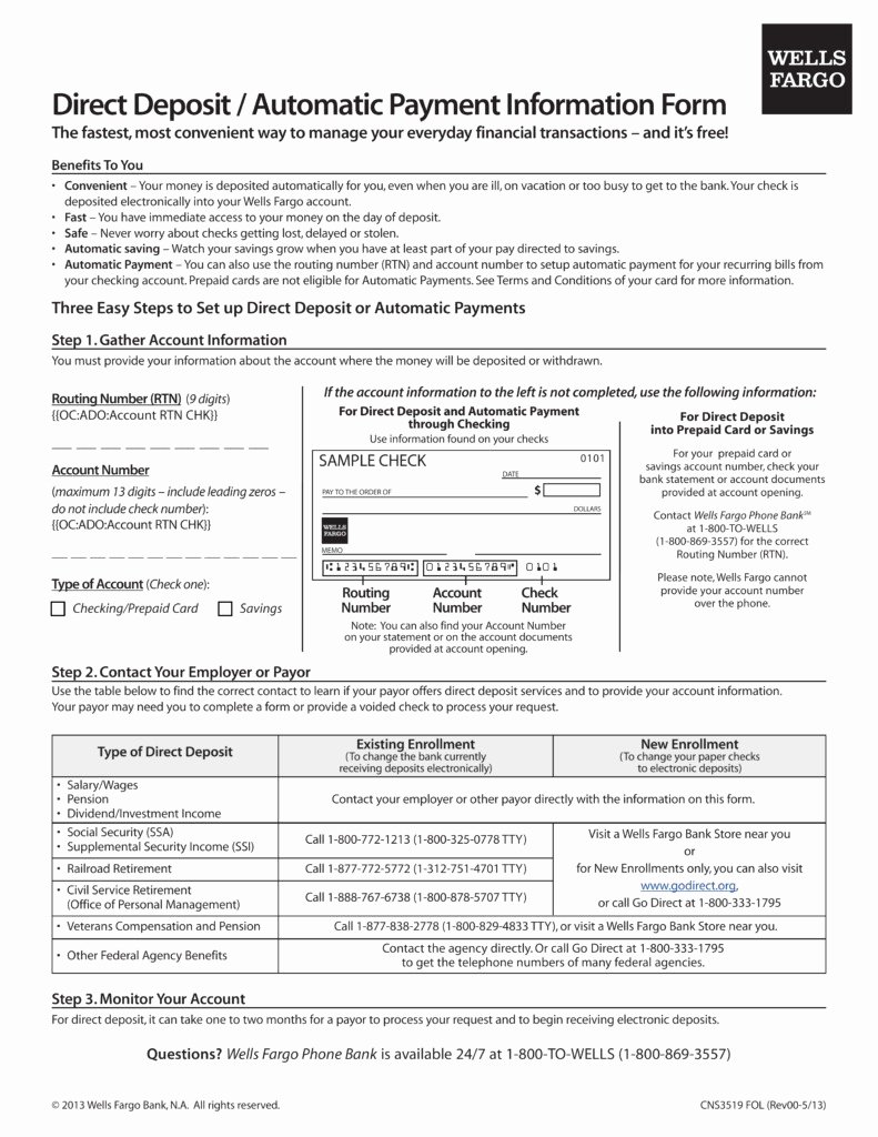 Wells Fargo Check Template